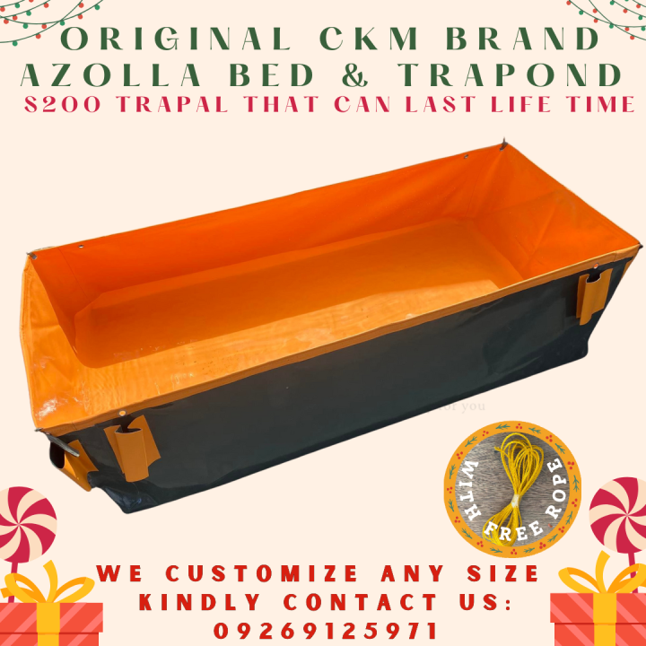 3x3x2 S200 AZOLLA & TRAPOND! OriginalCKM S200 Azolla Bed Trapond Fish ...