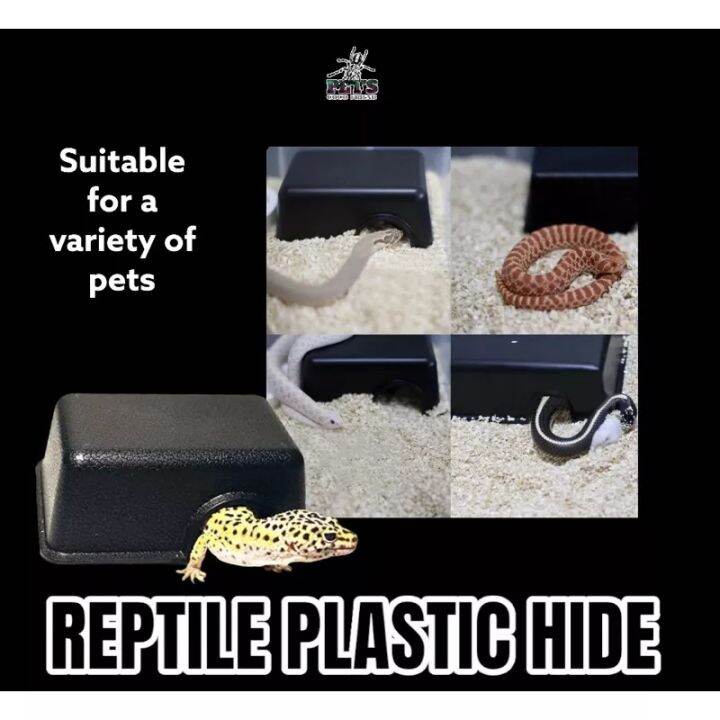 Plastic Hide for gecko and other small reptiles | Lazada PH