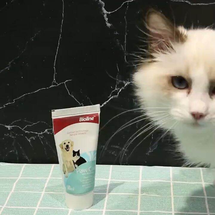 บาล์มบำรุงอุ้งเท้า ข้อศอกแห้ง ผิวหนังหยาบกร้าน สำหรับสุนัข แมว และ ...