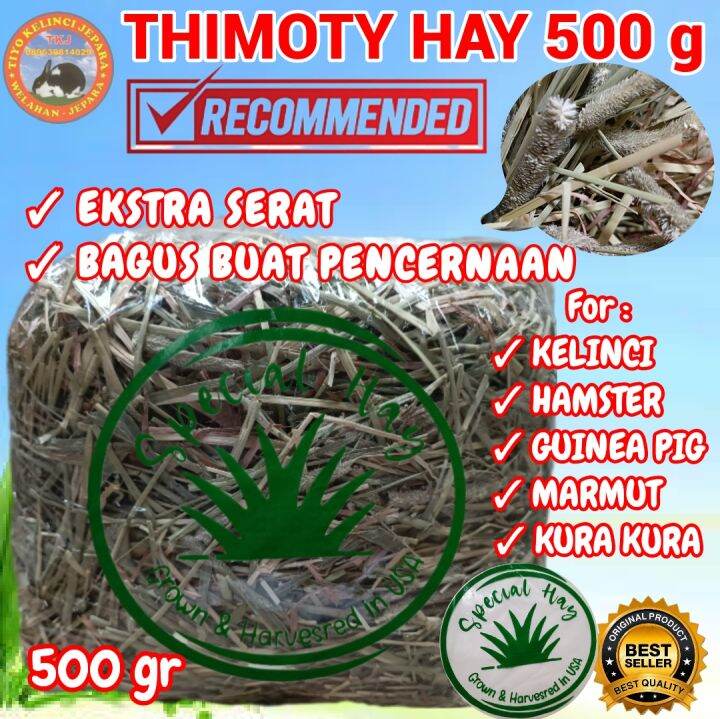 rumput hay thimoty 500 gram rumput hay Kelinci hamster | Lazada Indonesia