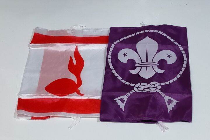 bendera pandu dunia dan bendera tunas kelapa ukuran 60x90cm | Lazada ...