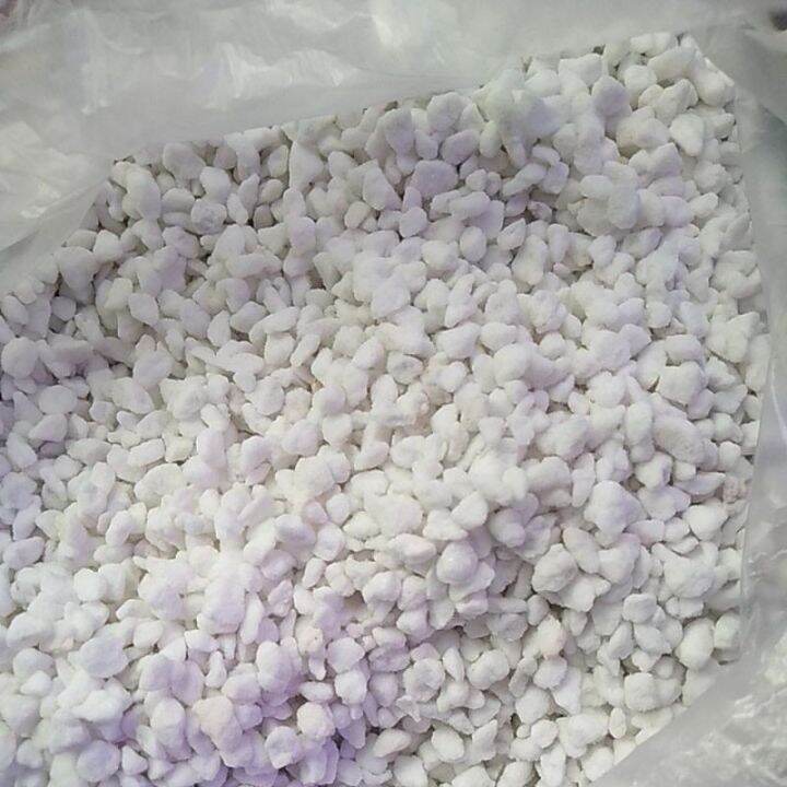 Perlite 1 sack 60 Liters | Lazada PH