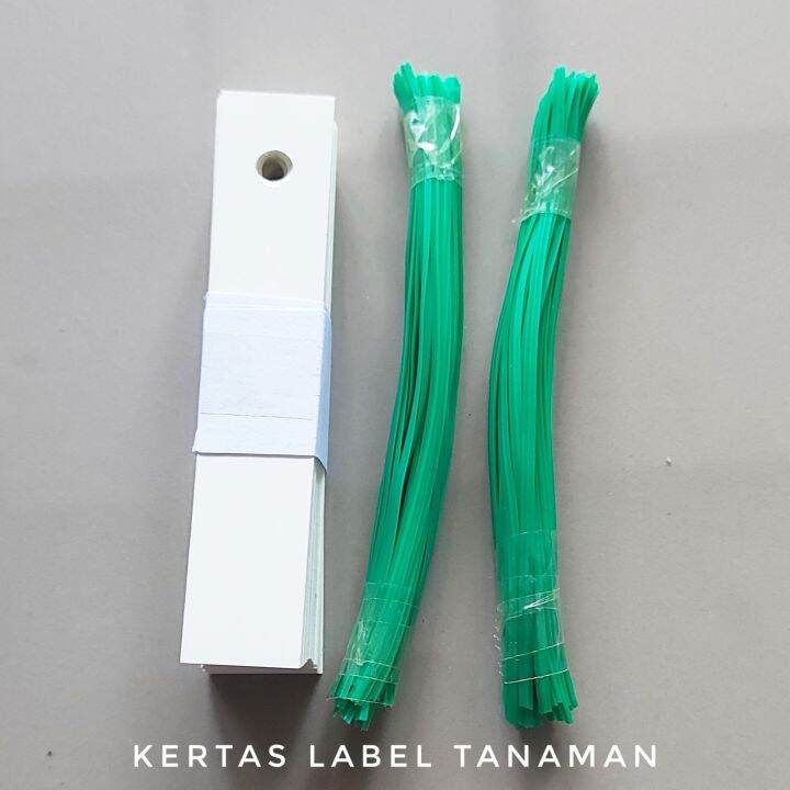 Kertas Label Tanaman / Name Tag Tanaman isi 100 | Lazada Indonesia