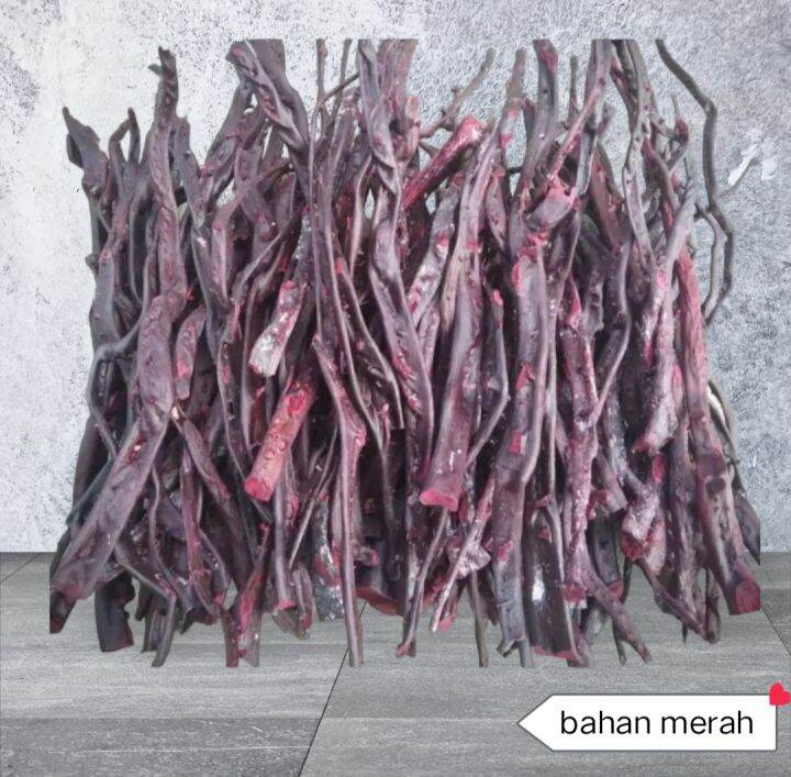 BAHAN AKAR BAHAR MERAH KRISTAL 1 BATANG 100% ORIGINAL ASLI | Lazada ...