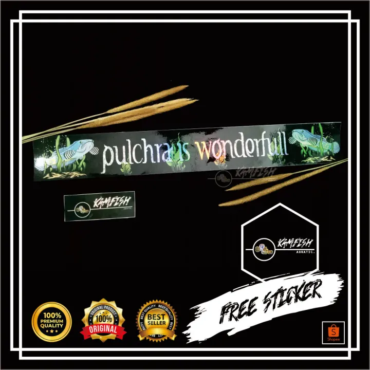 STICKER AQUARIUM IKAN PREDATOR CHANA AESTHETIC / STICKER AQUARIUM ...