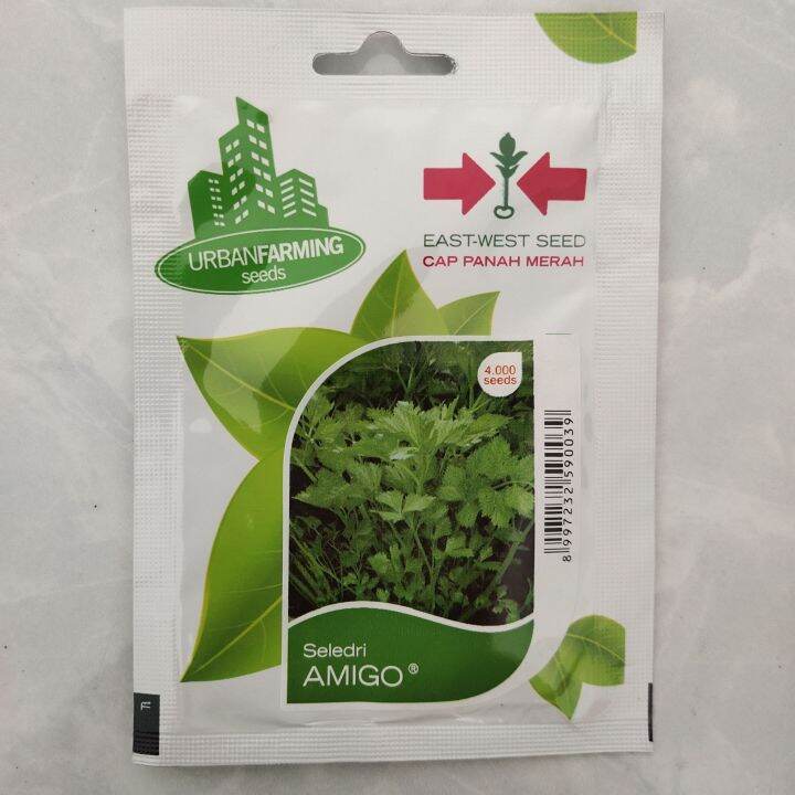 Benih Seledri Amigo PT East West Seed Cap Panah Merah 4000 seed ...