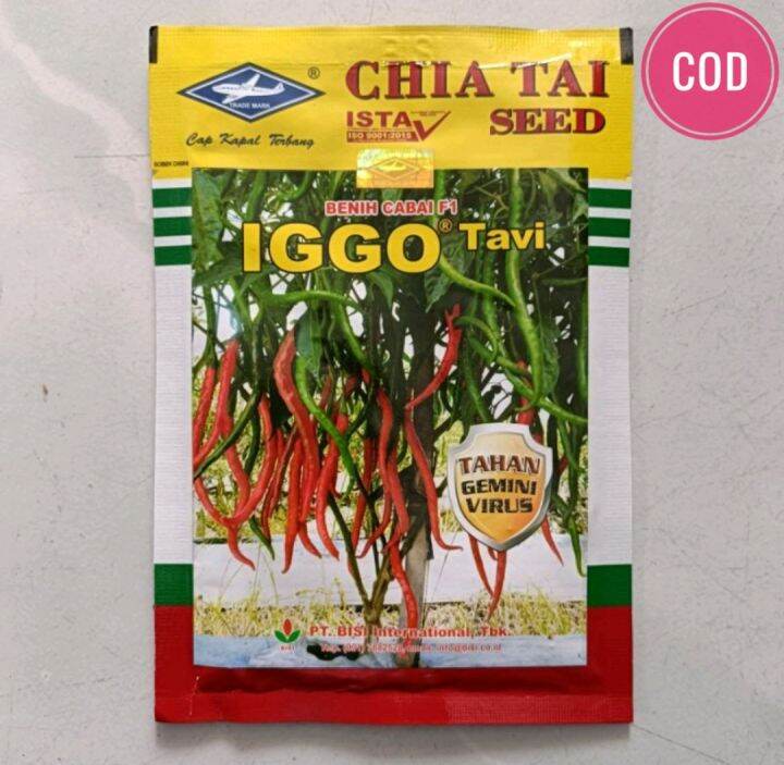 Benih Cabe Keriting IGGO Tavi isi 10 Gram Tangguh dan Tahan Virus | Lazada Indonesia