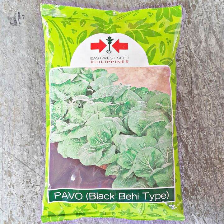 PAVO OPV PECHAY SEEDS (1 KILO) BLACK BEHI TYPE PETCHAY by EAST WEST ...