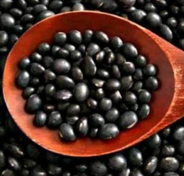 kedelai hitam 1kg free snack random kecil | Lazada Indonesia