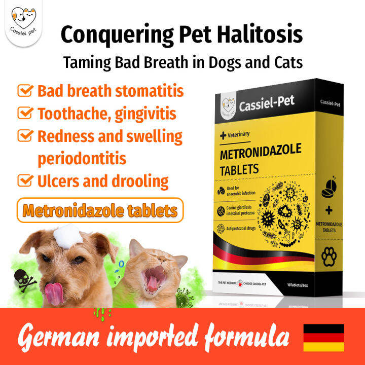 Cassiel Pet Dogs And Cats Antibiotic For Skin Stomach Oral Infection ...