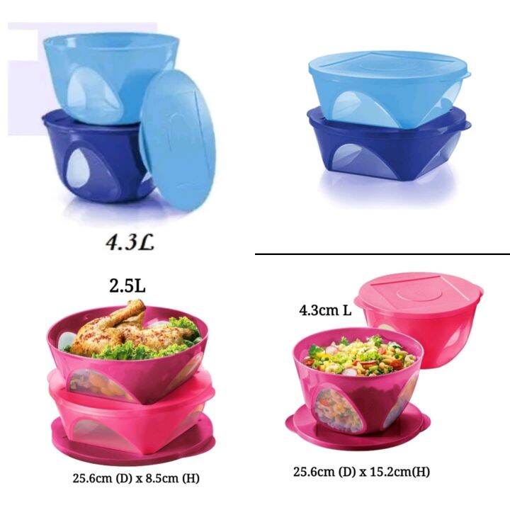 💖💖 Tupperware Outdoor Dining Bowl | Lazada
