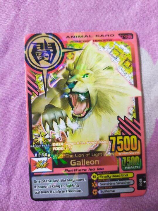 kartu animal kaiser galleon | Lazada Indonesia