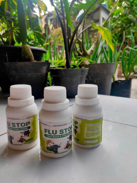 FLU STOP Obat Batuk dan Pilek Ampuh Untuk Sapi Kambing Domba | Lazada ...