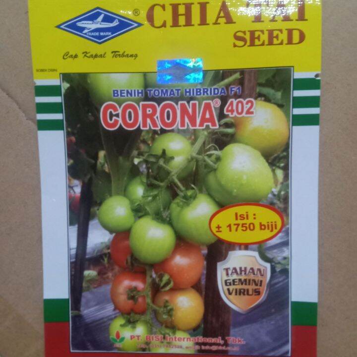 Bibit tomat/ benih tomat hibrida F1 420 tahan gemini virus isi 5 gram ...