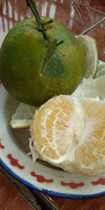 jeruk bali mini jeruk garut jeruk kampung segar 1kg kondisi matang ...