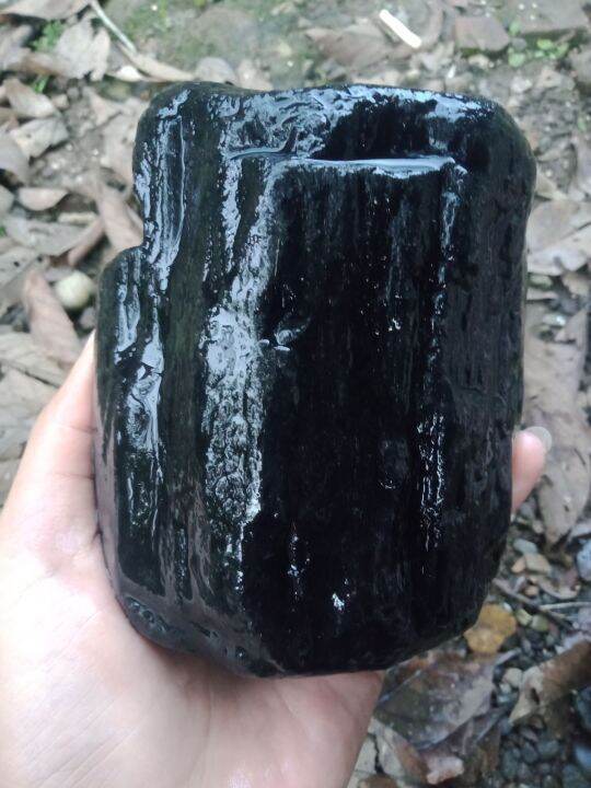 FOSIL KELOR HITAM DOP 1 KG | Lazada Indonesia
