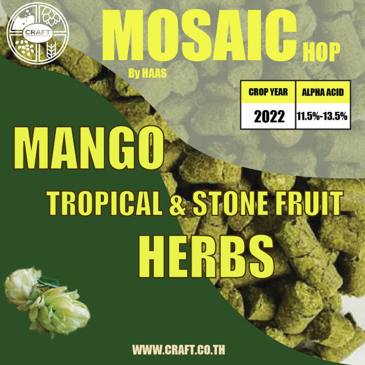 ฮอป ทำเบียร์ Mosaic Hops T90 แบรนด์ Haas | Lazada.co.th