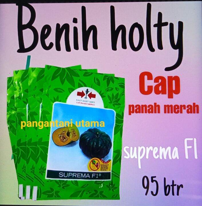 Labu Kuning Waloh Suprema F1 Isi 95btr | Lazada Indonesia