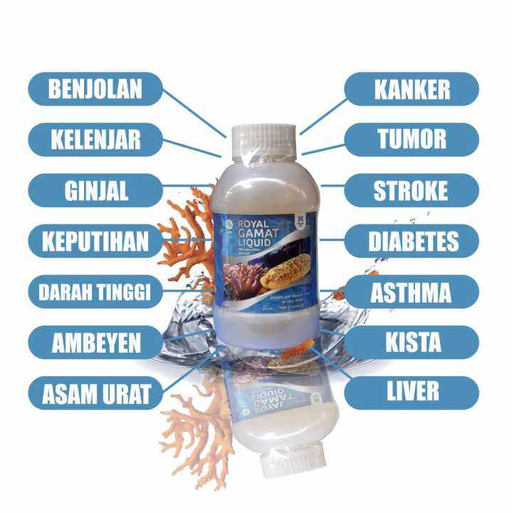 Royal gamat liquid obat asam lambung/pencernaan | Lazada Indonesia