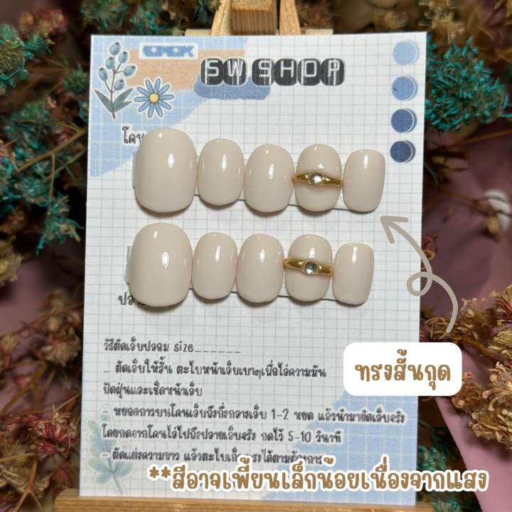 Sw056 เล็บปลอมสีเจล เล็บเจลสีนู้ด เล็บปลอมสำเร็จรูป แถมกาวตะไบ | Lazada ...