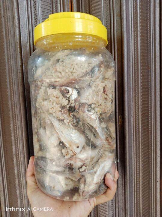 BEKASAM IKAN LAMBAK/SELUANG/SEPAT/IKAN TINO (1kg) | Lazada Indonesia