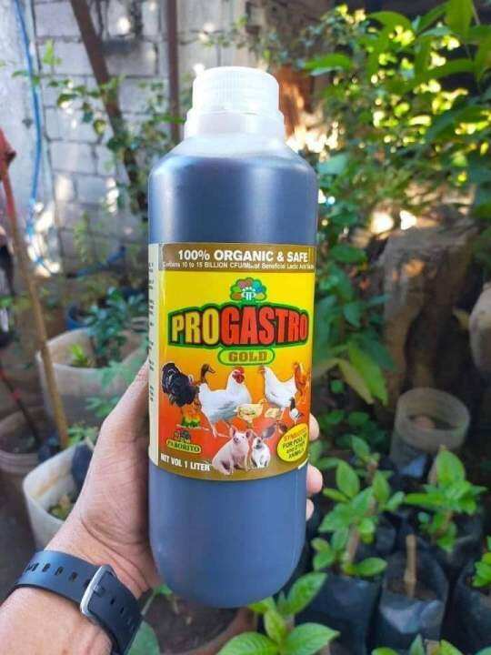 ProGastro Gold | Lazada PH