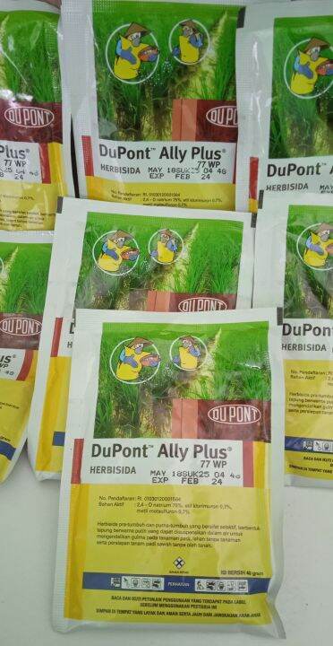 Dupont Ally Plus 77wp Herbisida | Lazada Indonesia Dupont Ally Plus 77wp Herbisida | Lazada Indonesia