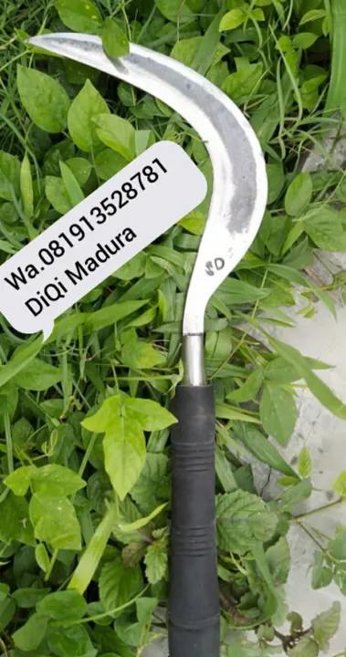 arit rumput | Lazada Indonesia