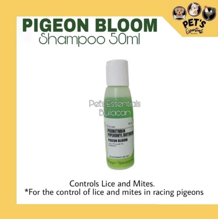 Pigeon Bloom Shampoo - 50ml | Lazada PH