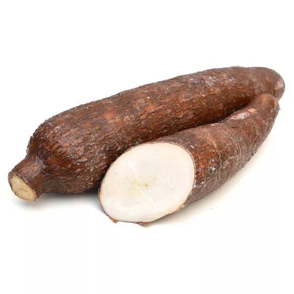 Singkong putih singkong roti super lembut isi 500 gr | Lazada Indonesia