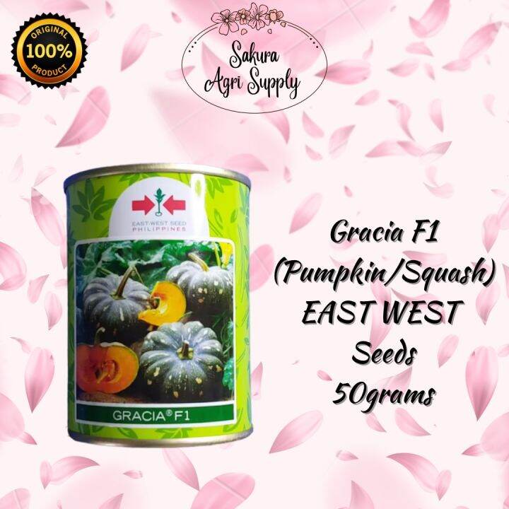 EAST WEST GRACIA F1 HYBRID PUMPKIN / SQUASH / KALABASA SEEDS 50grams ...