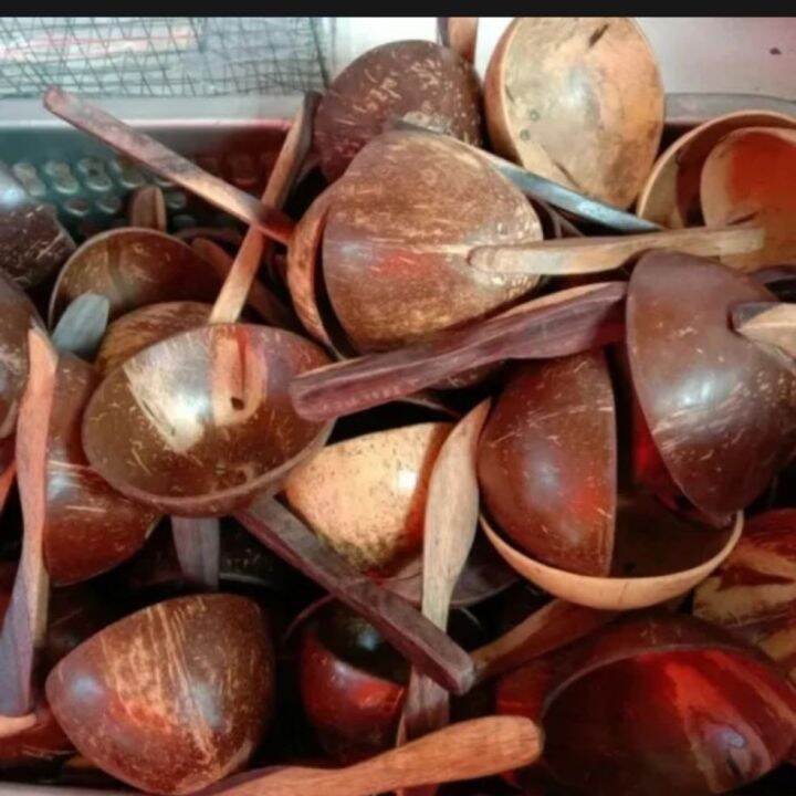 centong batok /sodok nasi padang / centong nasi batok | Lazada Indonesia