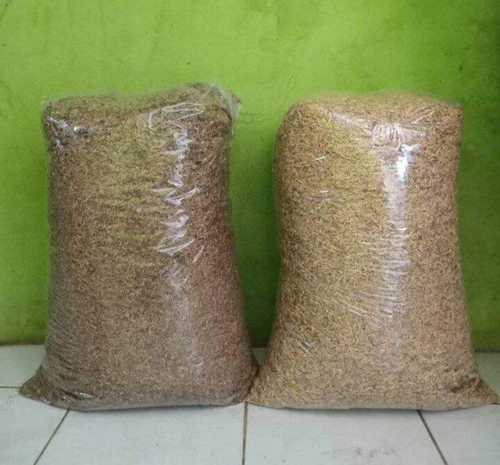 sekam padi mentah fementasi alami sekam media tanam ukuran plastik 2 kg ...