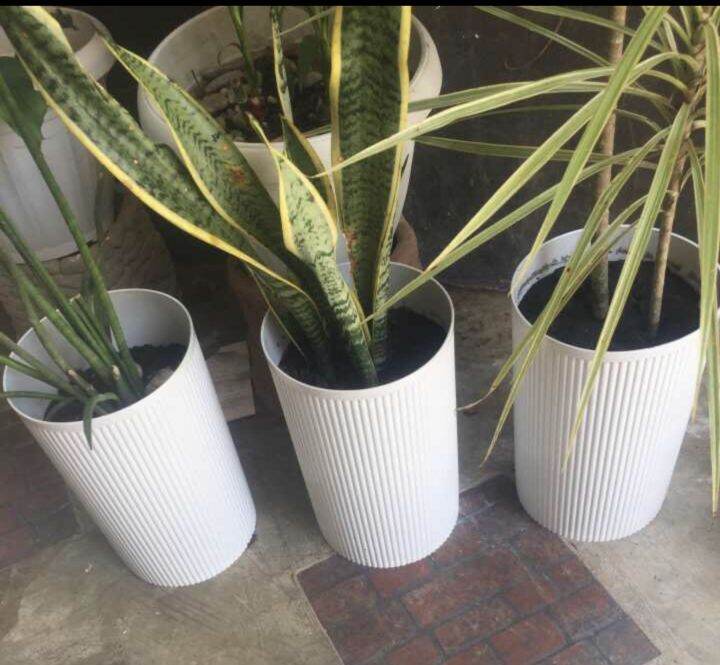 3 pieces long ludu pots for your plants ( 7.5x12inch) | Lazada PH