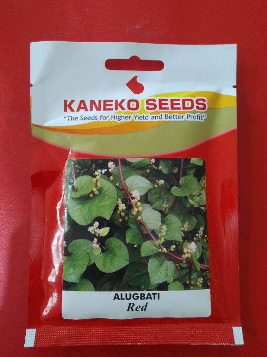 RED ALUGBATI (50GRAMS)BY KANEKO SEEDS | Lazada PH