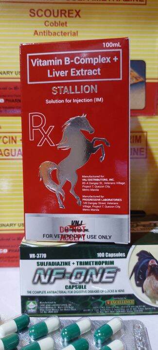 STALLION VITAMIN B-COMPLEX LIVER EXTRACT 100ML | Lazada PH