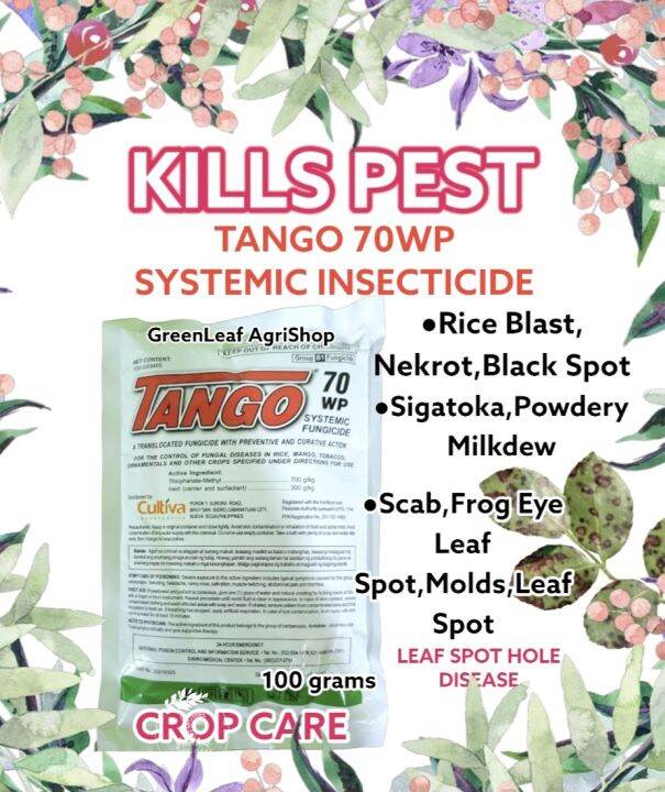 Tango 70WP SYSTEMIC FUNGICIDE 100G (LEAF SPOT DISEASE,FRUIT SPOT ...