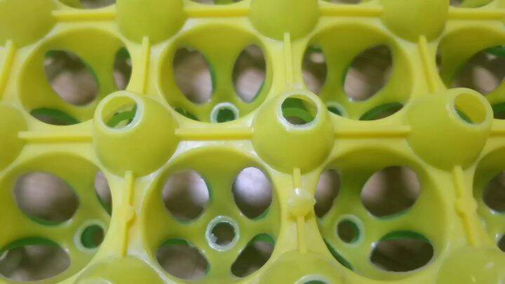 Plastic Egg Tray By 30 PCS / Egg Tray Can / Tray Can Hold / Egg Tray ...