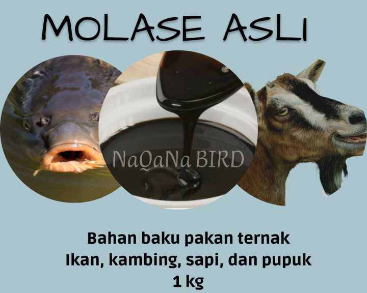 MOLASE MOLASES TETES TEBU MURNI ASLI 1KG IKAN TERNAK PUPUK | Lazada ...