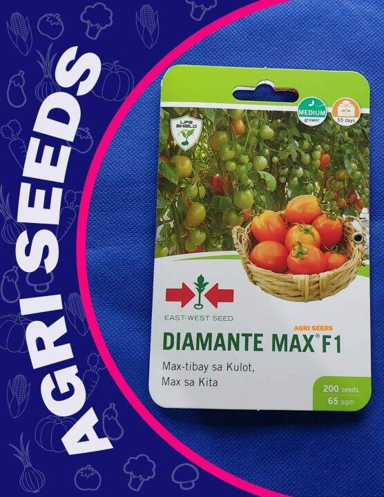 Diamante Max F1 (200 seed pack) Hybrid Tomato / Kamatis Seed by East ...