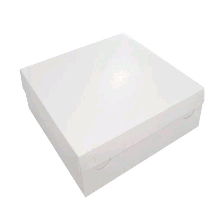 KOTAK NASI POLOS PUTIH 20X20CM | Lazada Indonesia