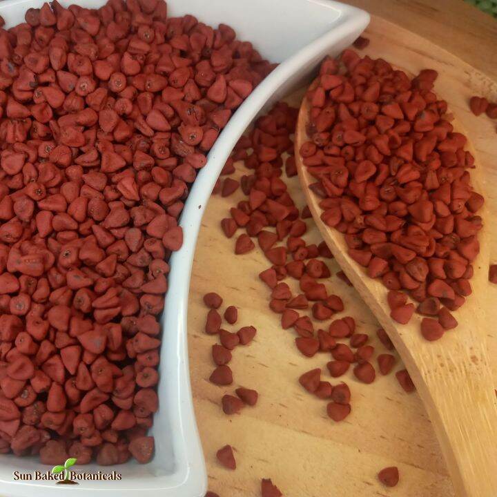 Annatto Seeds (Achuete/Atswete), 100 grams per pack | Lazada PH