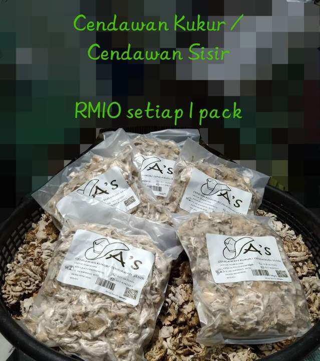 CENDAWAN SISIR/KUKUR KERING | Lazada
