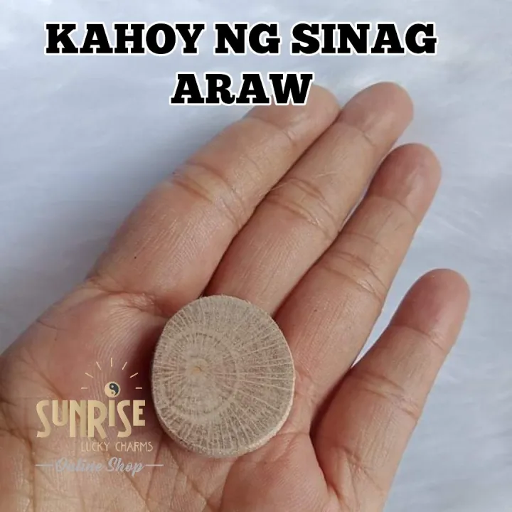 KAHOY NG SINAG ARAW pampaswerte | Lazada PH