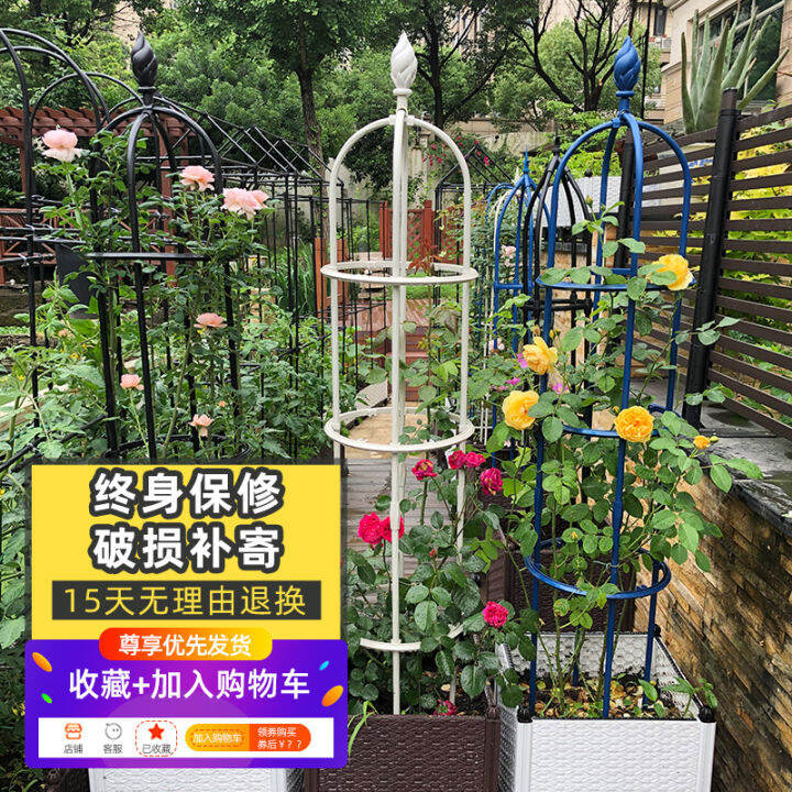Vine Climbing Stand Rose Flower Stand Flower Support Stand Rose Vine ...