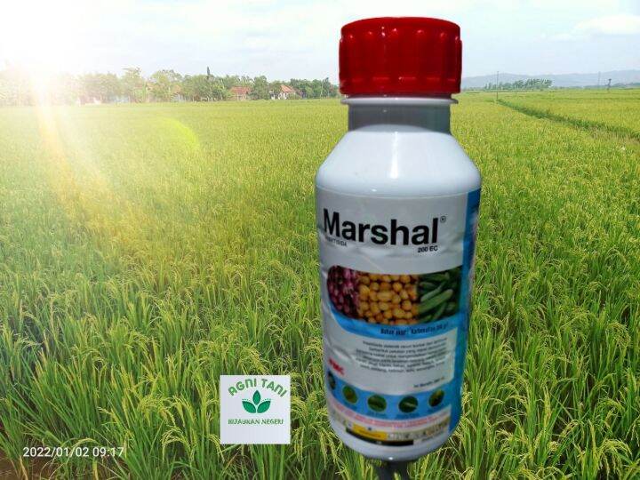 Insektisida Marshall 200 EC isi 500 ml | Lazada Indonesia