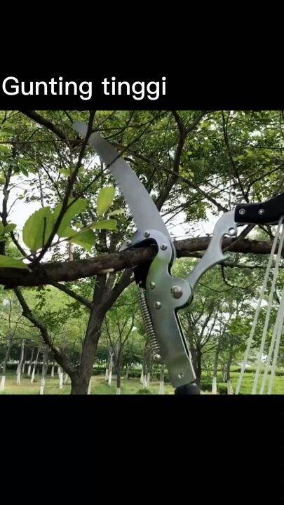 Teleskopik Tinggi Cabang Gunting Pemotong Pohon Pemangkas Pemangkas Gunting Saw Pemetik Buah ...