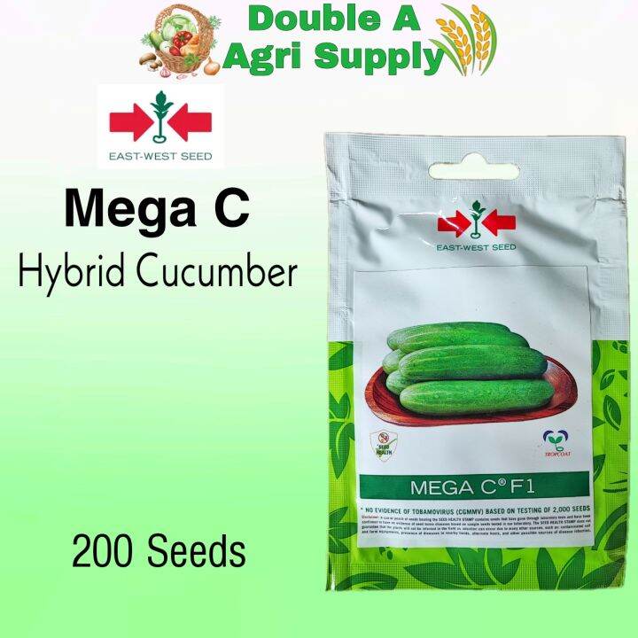 Mega C F1 Hybrid Cucumber Asenso Pack - East West Seed | Lazada PH