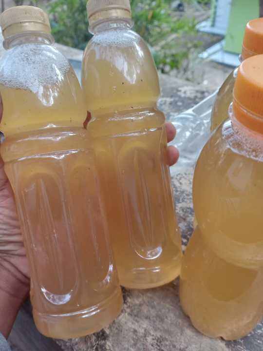 Air Nira Aren Dadakan 350ml | Lazada Indonesia