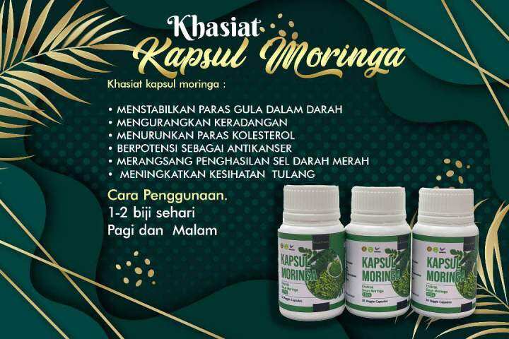 𝗟𝗨𝗟𝗨𝗦 𝗞𝗞𝗠 Kapsul Moringa | Moringa Oleifera | Kapsul Kelor 60/100 ...